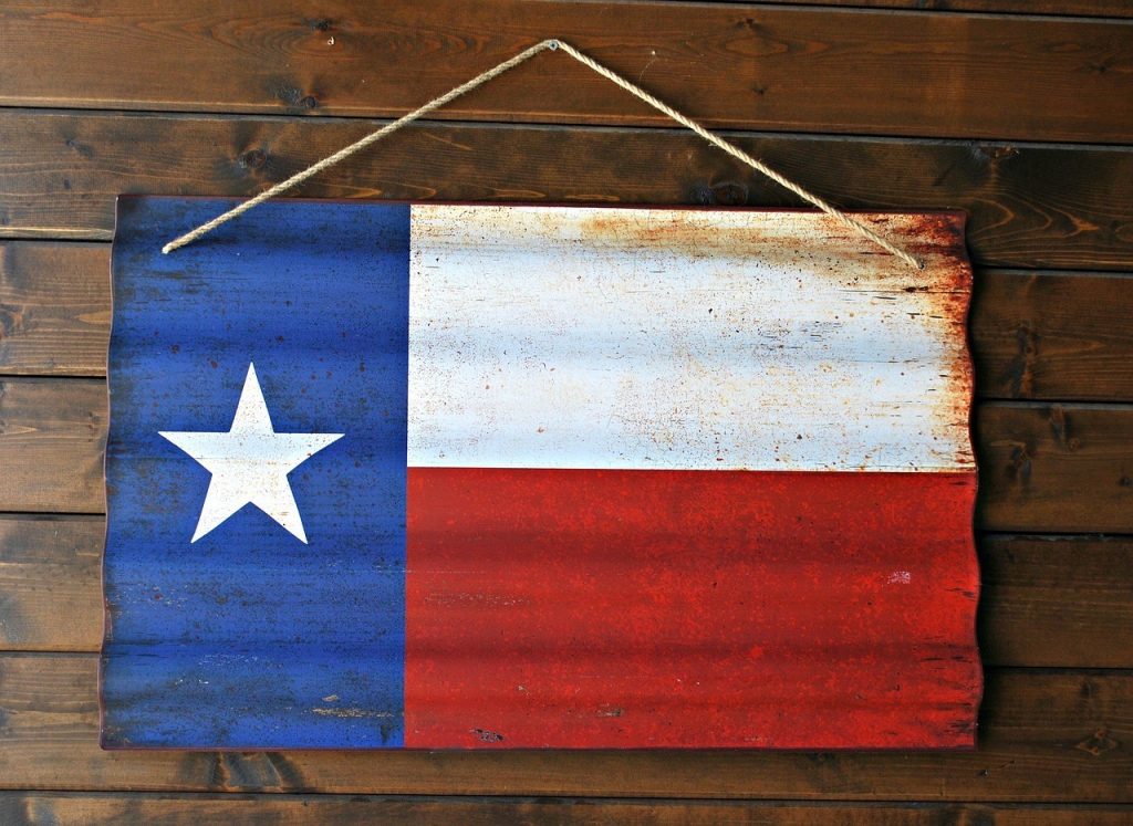 Texas Birthday Party Themes and Ideas
